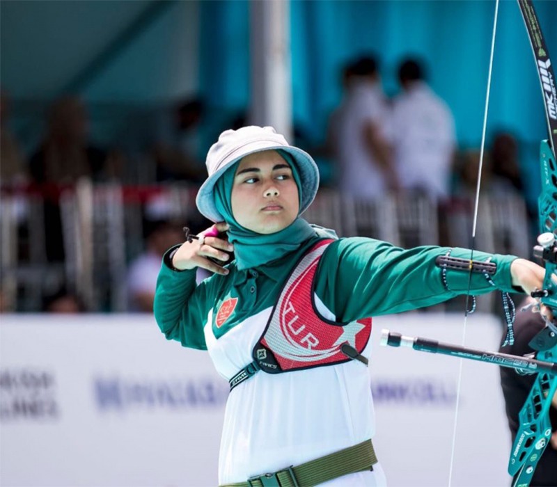 Türkiye Milli Olimpiyat Komitesi
