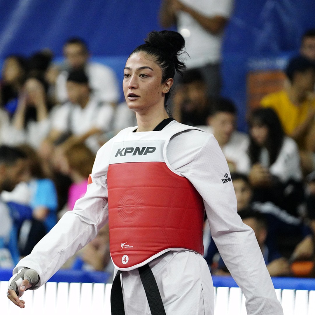 Türkiye Milli Olimpiyat Komitesi