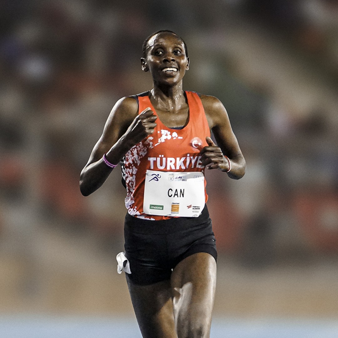 Türkiye Milli Olimpiyat Komitesi
